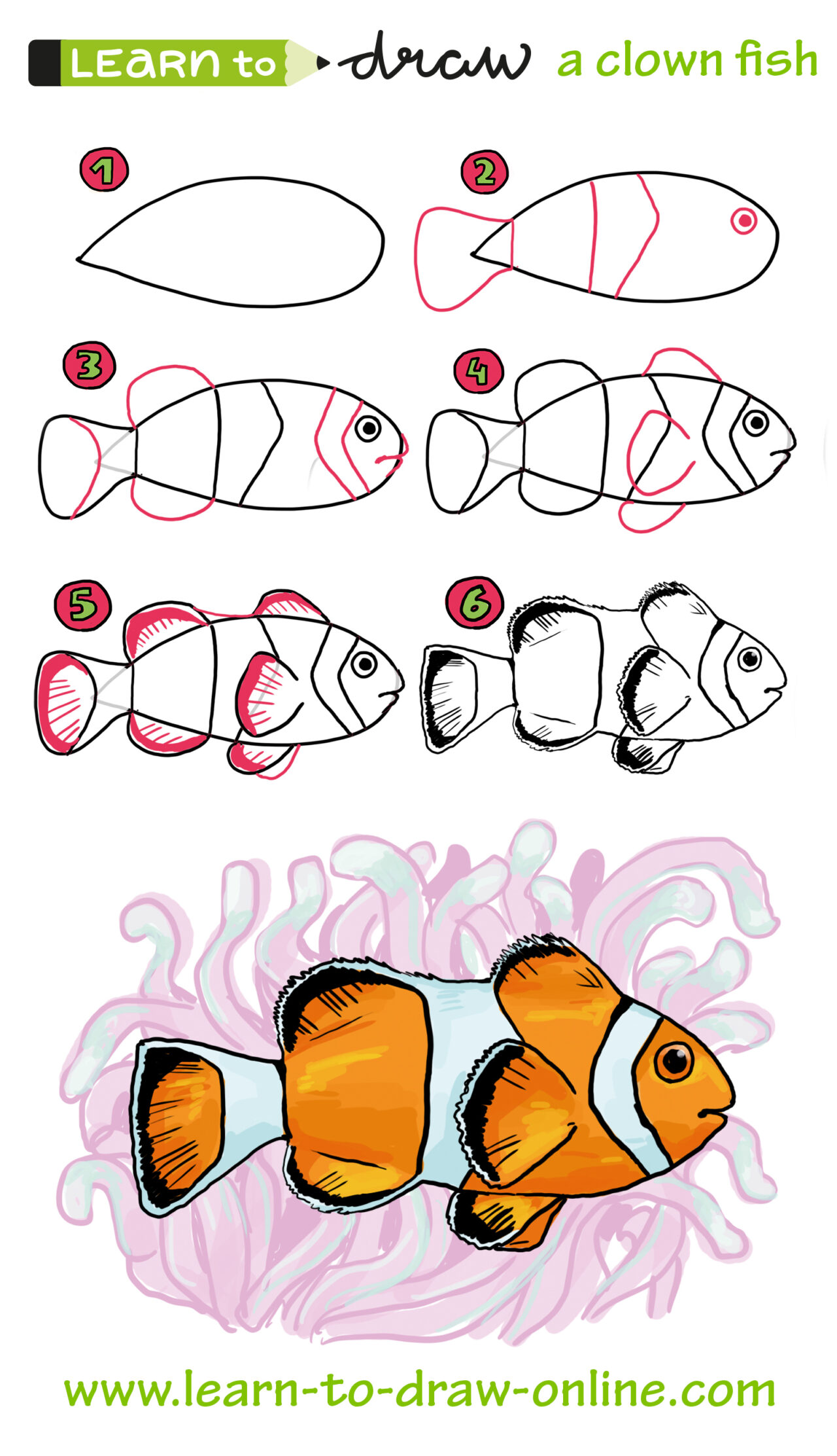 Learn how to draw a clown fish - Learn to Draw online