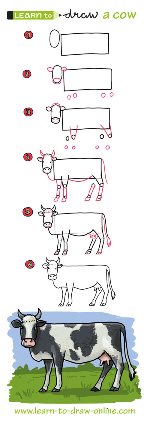 Learn how to draw a cow - Learn to Draw online