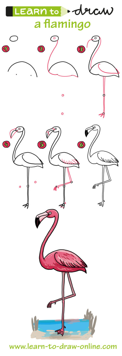 Learn how to draw a flamingo - Learn to Draw online
