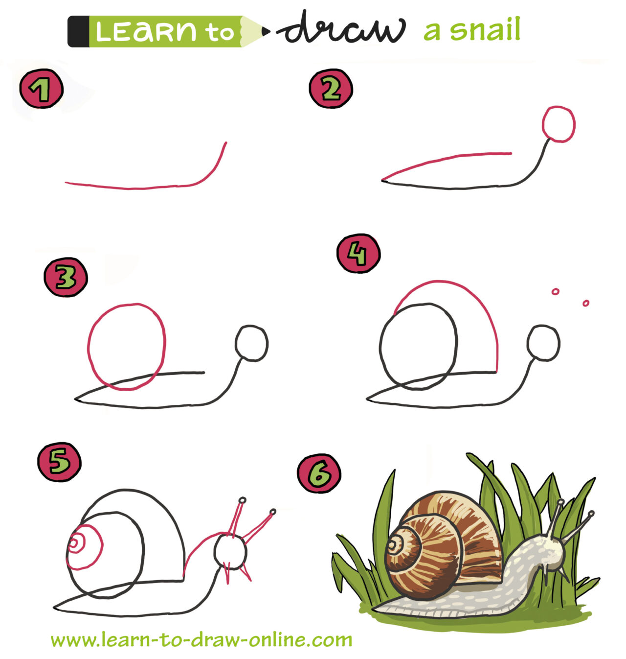 Learn how to draw a snail - Learn to Draw online