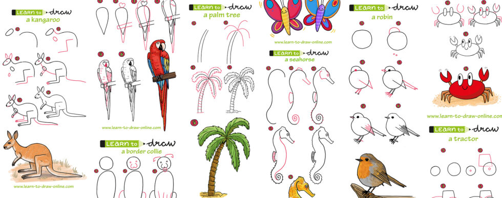 Drawing Instructions - Learn to Draw online