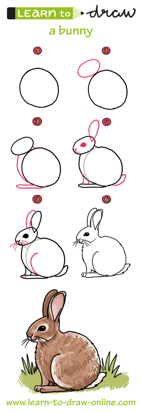 Learn how to draw a bunny *easter* - Learn to Draw online