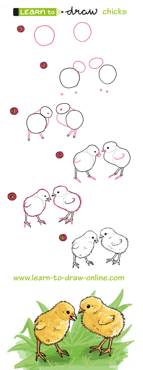 Learn how to draw a chick *easter* - Learn to Draw online
