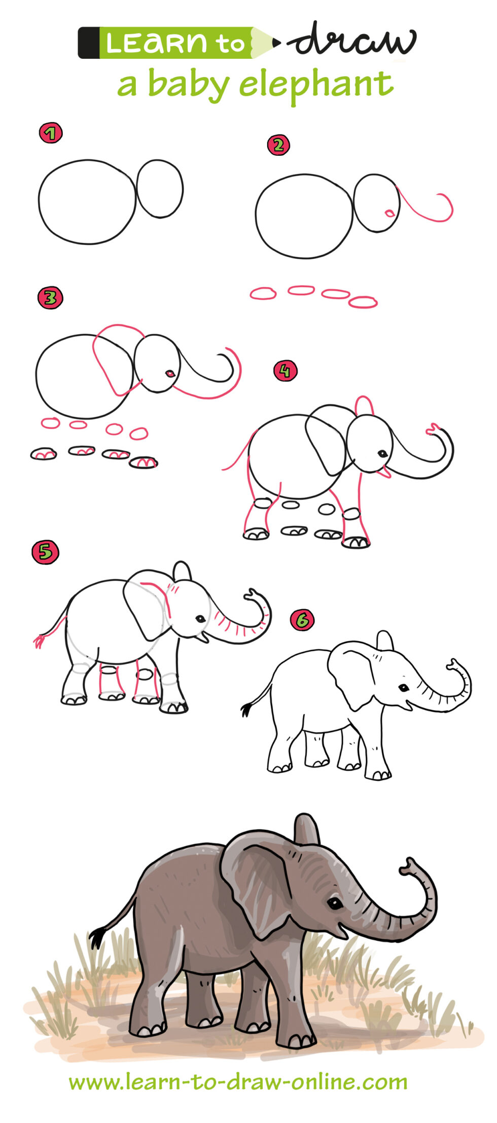 Learn to draw an elephant baby - Learn to Draw online