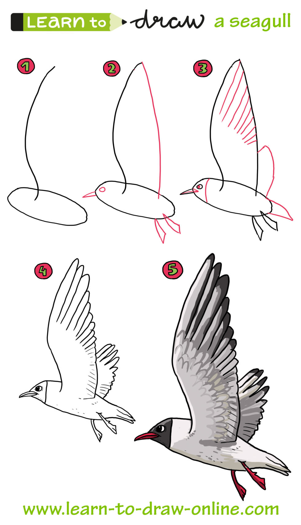 Learn how to draw a seagull - Learn to Draw online