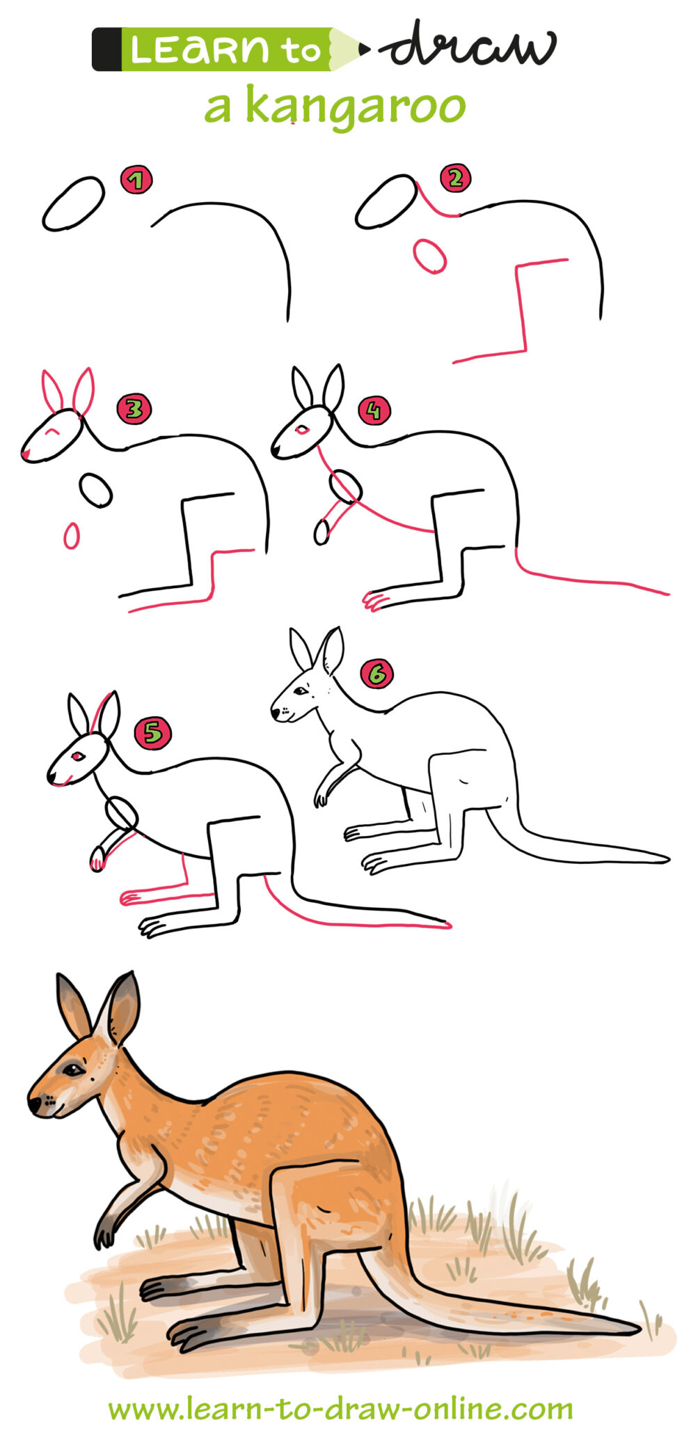 Draw a Kangaroo - Learn to Draw online
