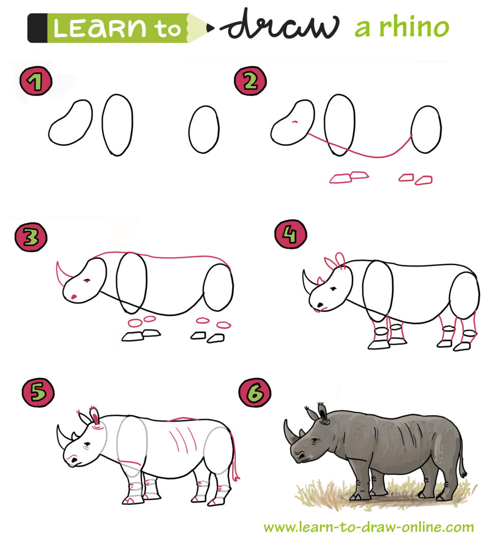 Learn how to draw a rhino - Learn to Draw online