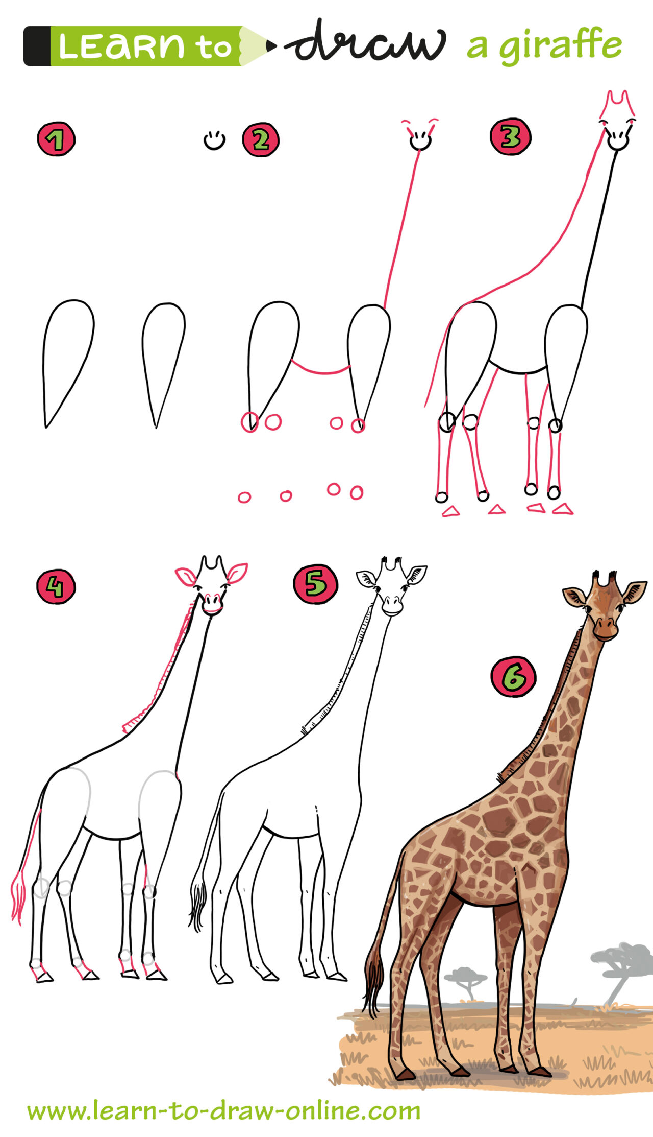 Learn how to draw a stunning giraffe - Learn to Draw online